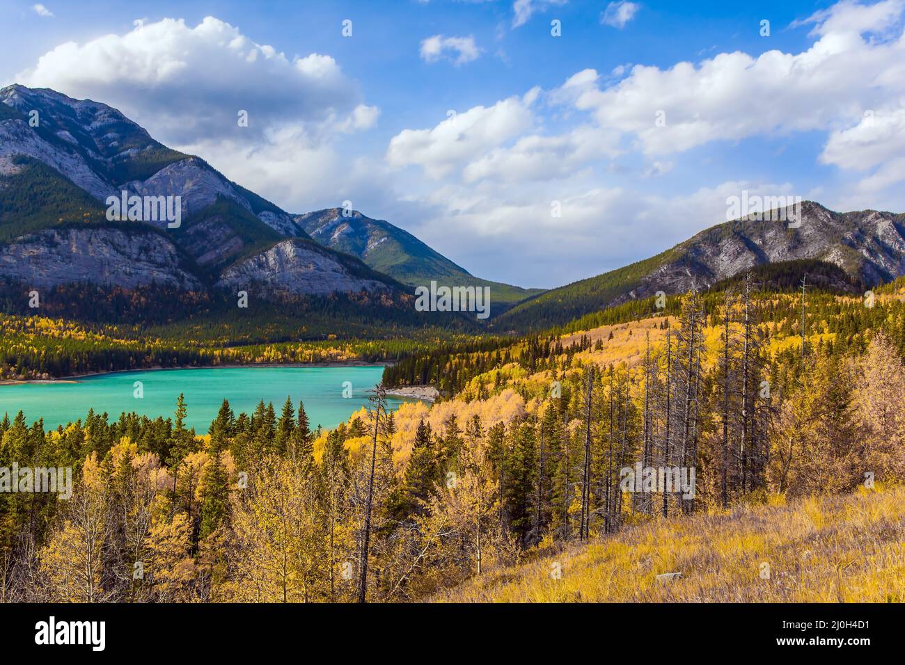 The mountain valley Stock Photo - Alamy