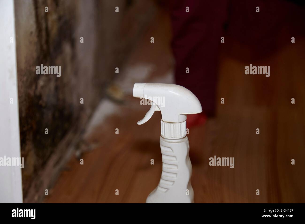 Old mold on the wall. Mold suppressant mock up. Renovation of the ...