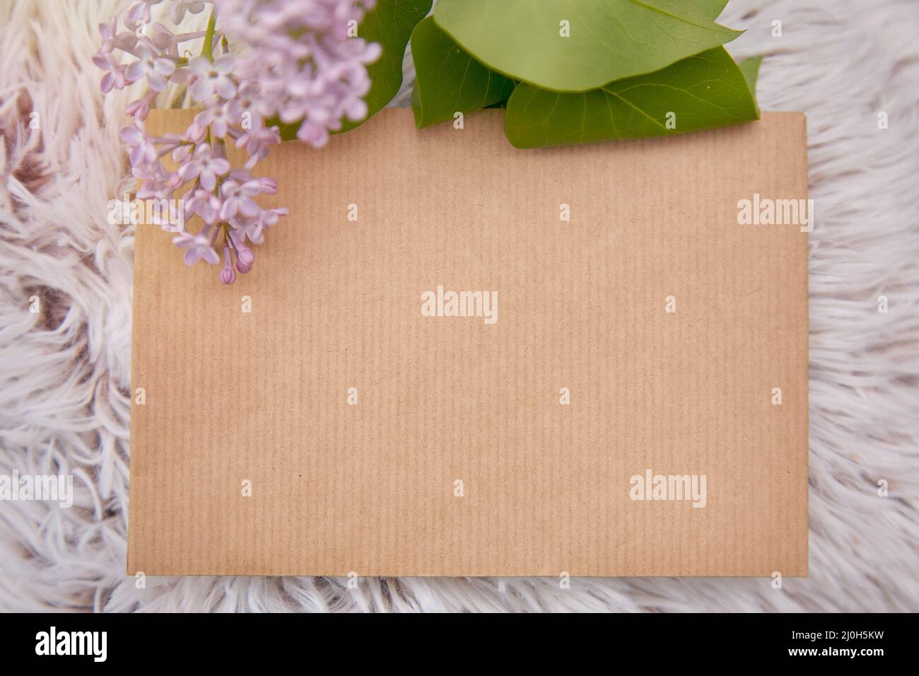 Vintage paper mock up with lilac flower on furry background. Copy space ...