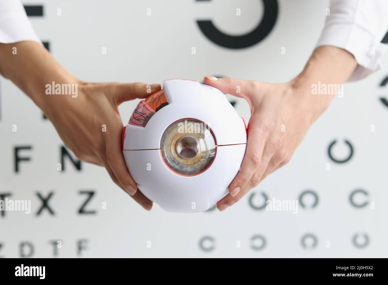 Ophthalmologist doctor holding part of eye model, oculus sample ...