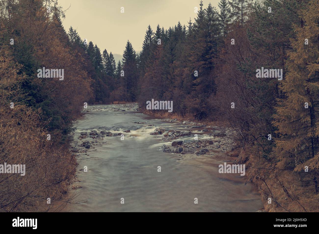 River in the woods in autumn Stock Photo - Alamy