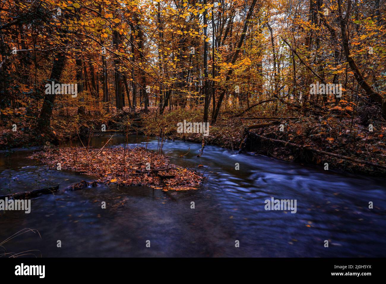 Indian forest river hi-res stock photography and images - Alamy