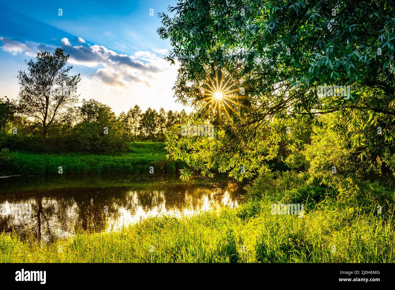 Sunset on the river sun's rays through the branches of a tree Stock ...
