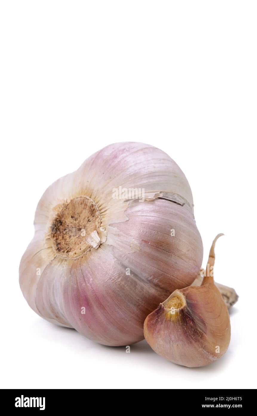 Organic raw white garlic Cut Out Stock Images & Pictures - Alamy