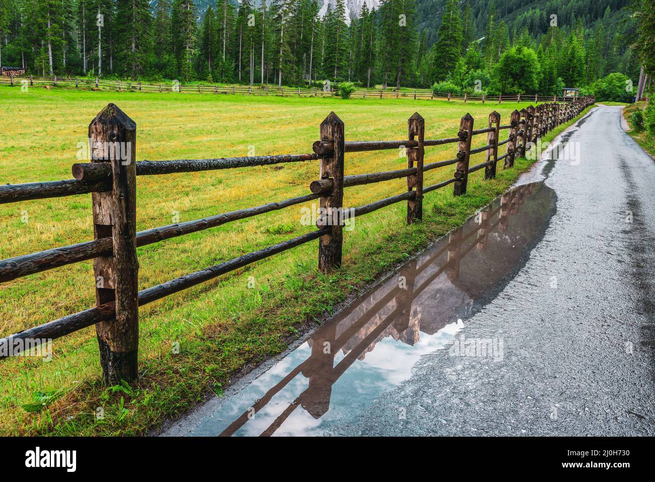 Puddle on a mountain path in the Dolomites Stock Photo - Alamy