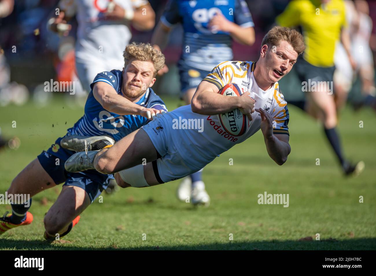 Will porter of wasps rugby hi-res stock photography and images - Alamy