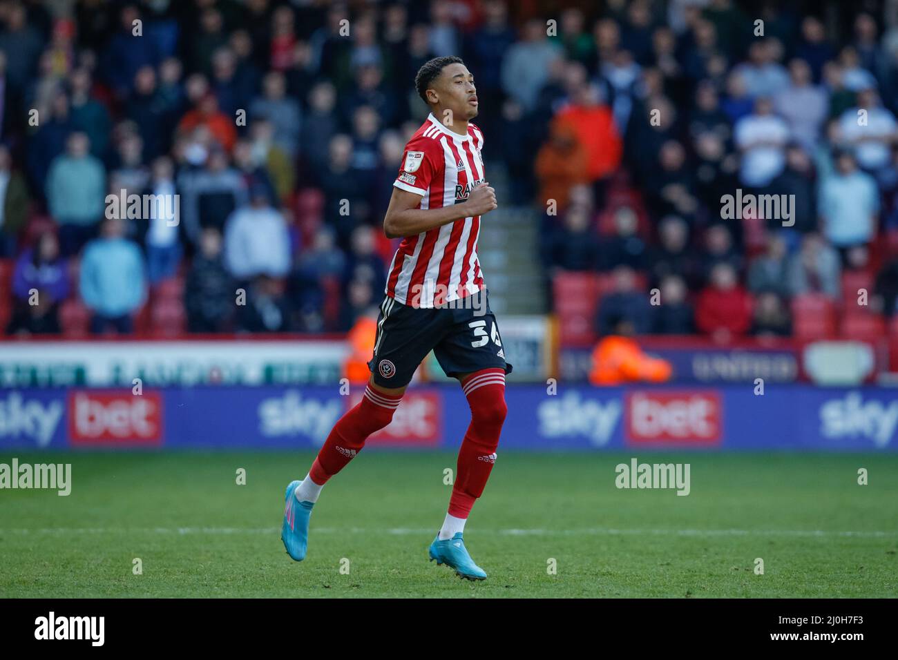 Daniel jebbison hi-res stock photography and images - Alamy