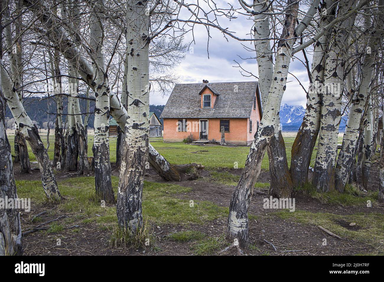 House behind hi-res stock photography and images - Alamy
