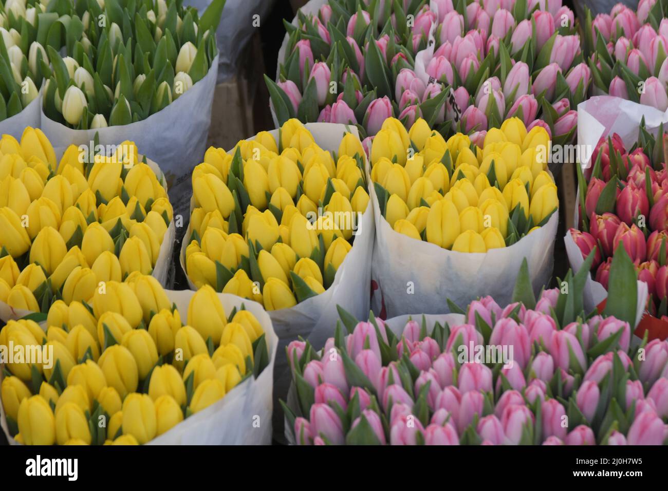 Cenetrations hi-res stock photography and images - Alamy