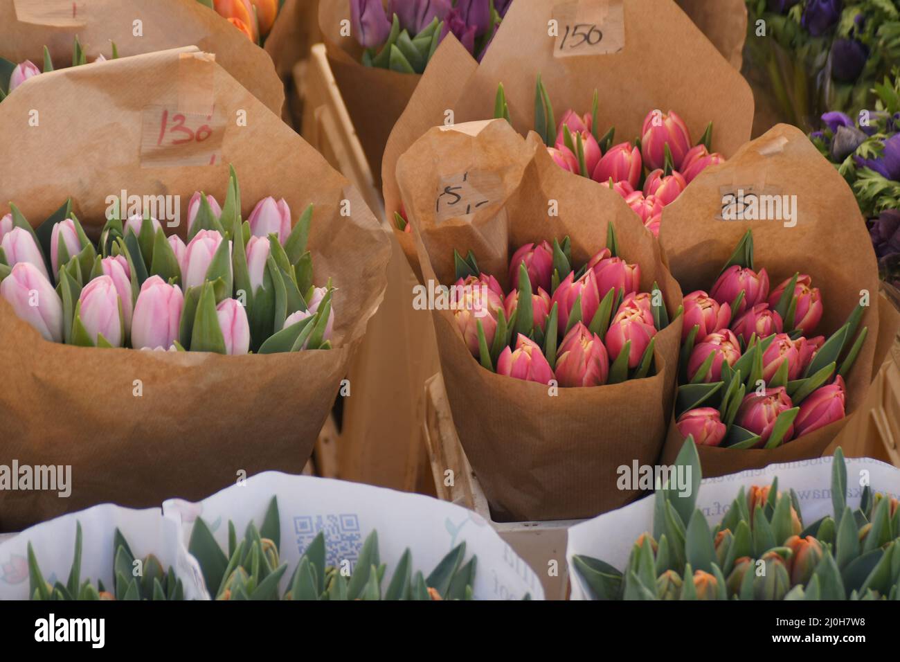 Cenetrations hi-res stock photography and images - Alamy