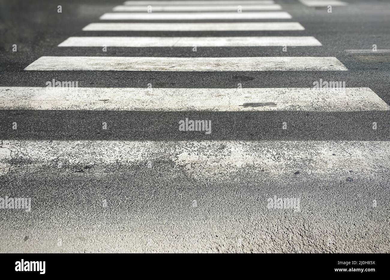 Zebra crossing in a European city Stock Photo - Alamy