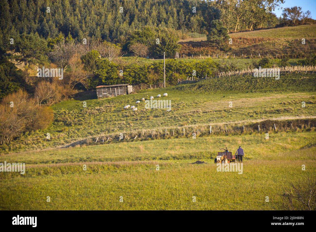 Beautiful scene of green field with a farmer in the Spanish countryside ...