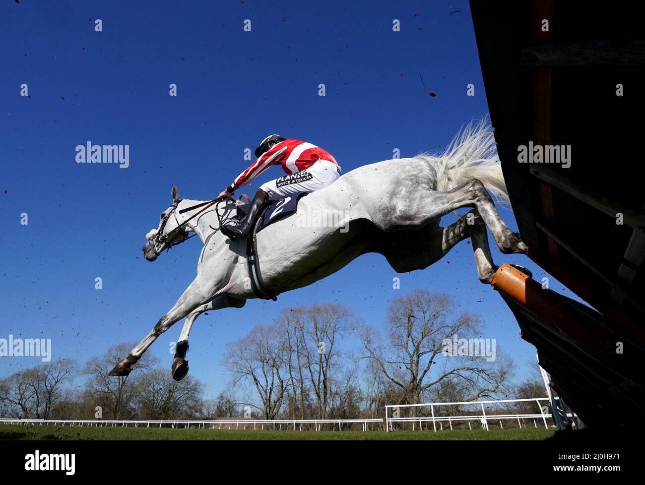 Jay tidball hi-res stock photography and images - Alamy