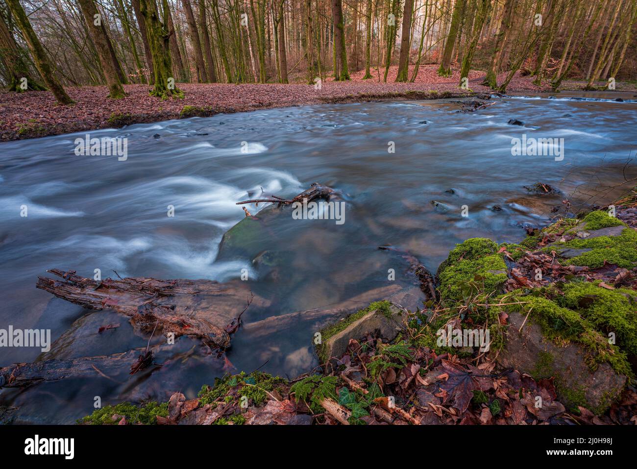 Autumn in the forest, long exposure Stock Photo - Alamy