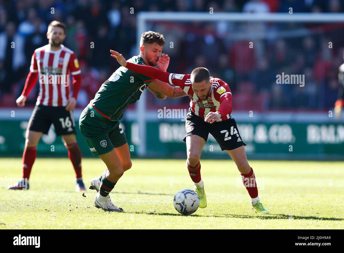 Matty Wolfe High Resolution Stock Photography and Images - Alamy