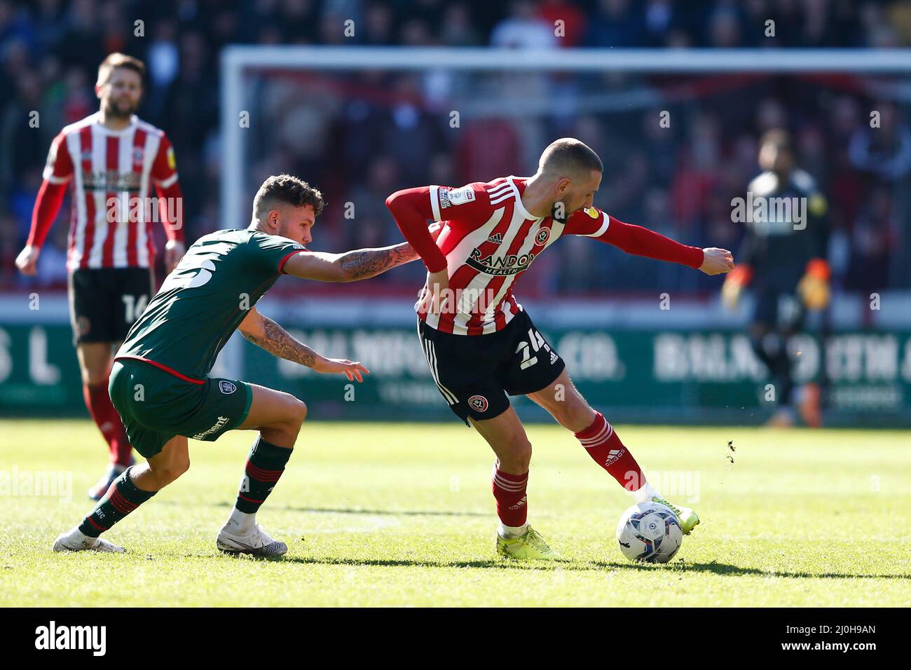 Matty Wolfe High Resolution Stock Photography and Images - Alamy