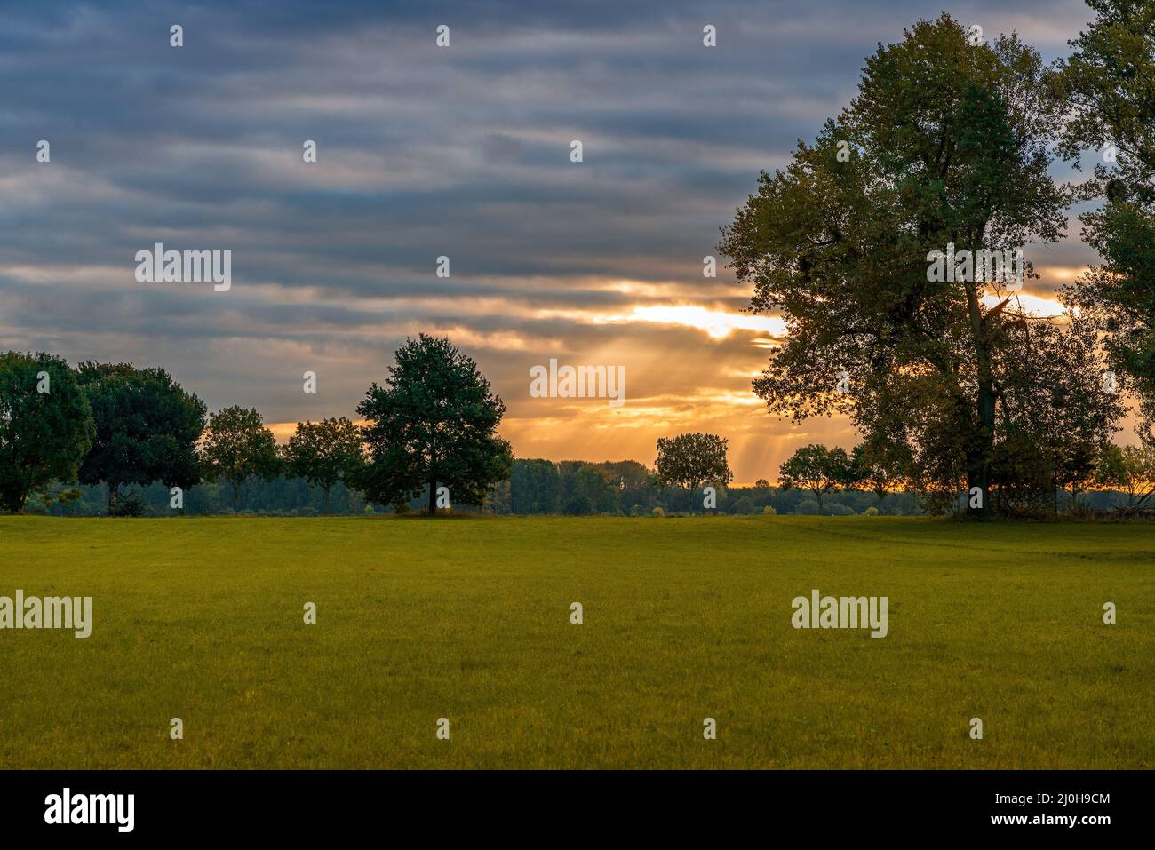 Panoramic view of nature hi-res stock photography and images - Alamy