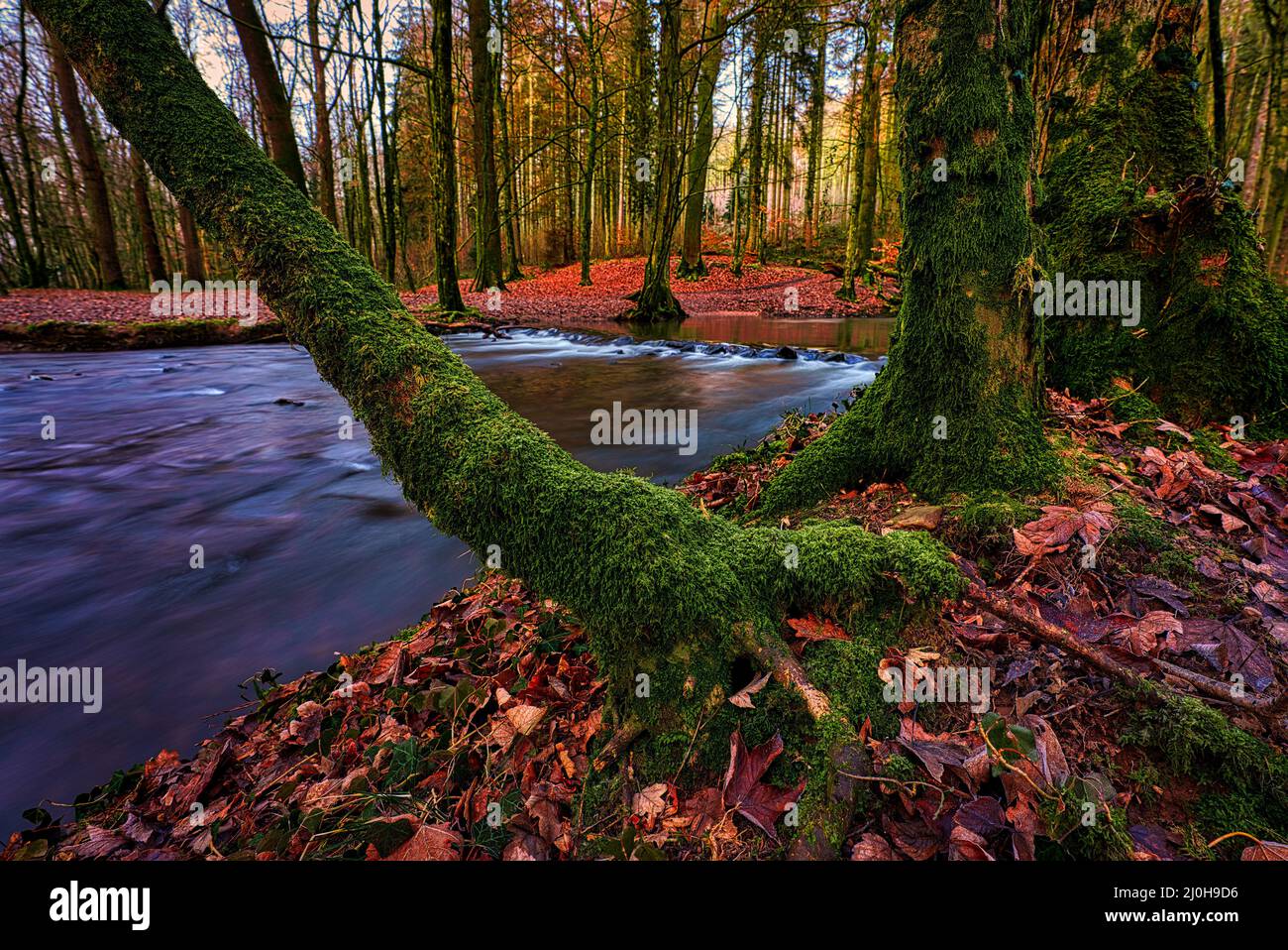 Long but small river hi-res stock photography and images - Alamy