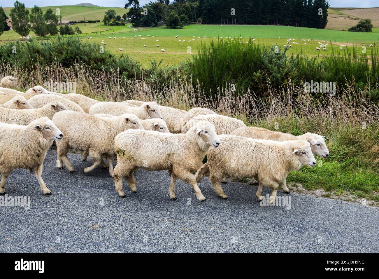 Car crosses mountain road hi-res stock photography and images - Alamy