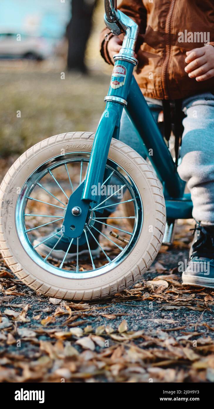 Boy in the Blue bike with the retro white wheel in the middle of a park ...