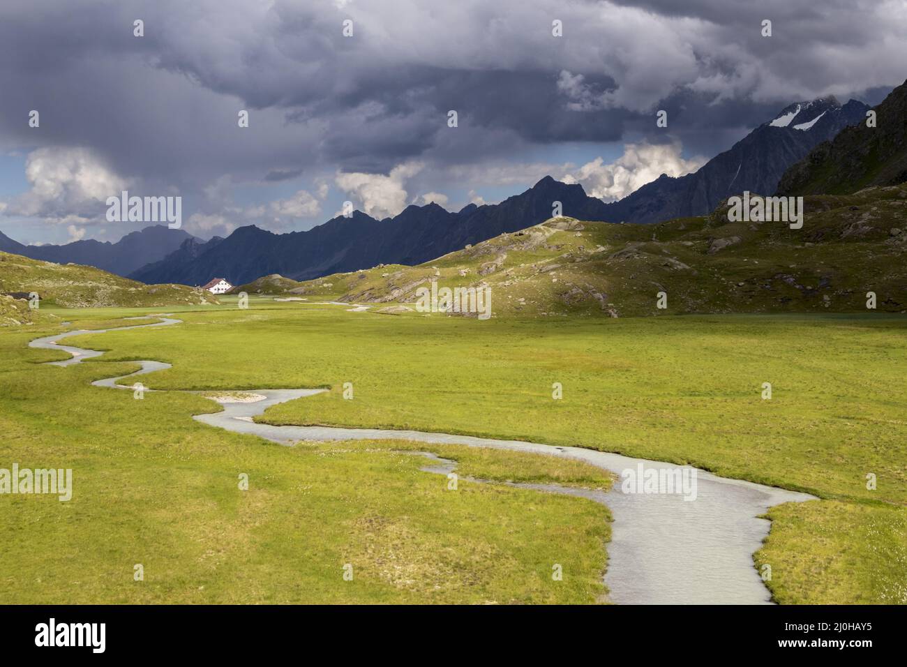High moor in the Austrian Alps Stock Photo - Alamy