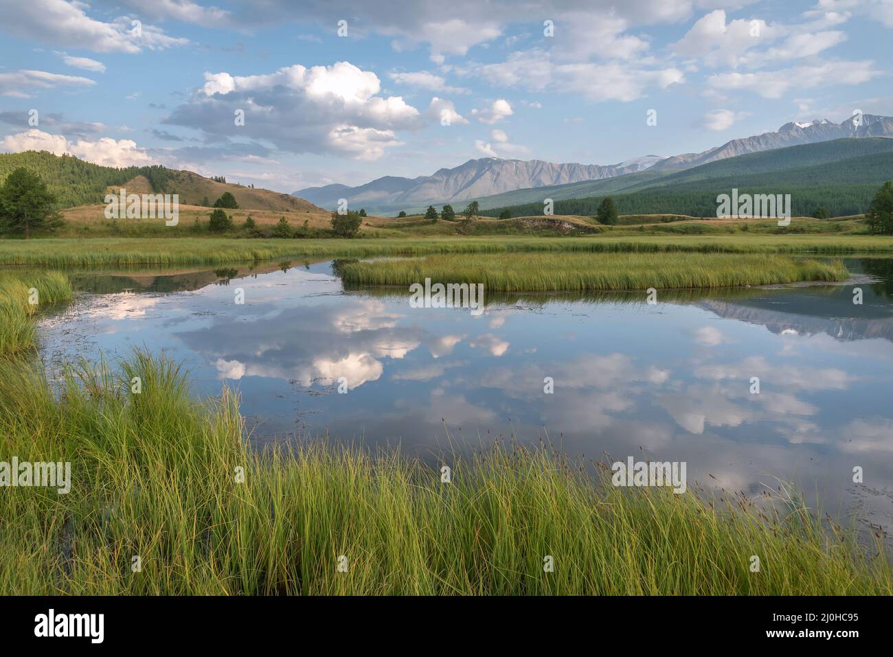 Amazing summer landscape with beautiful clouds in the blue sky ...