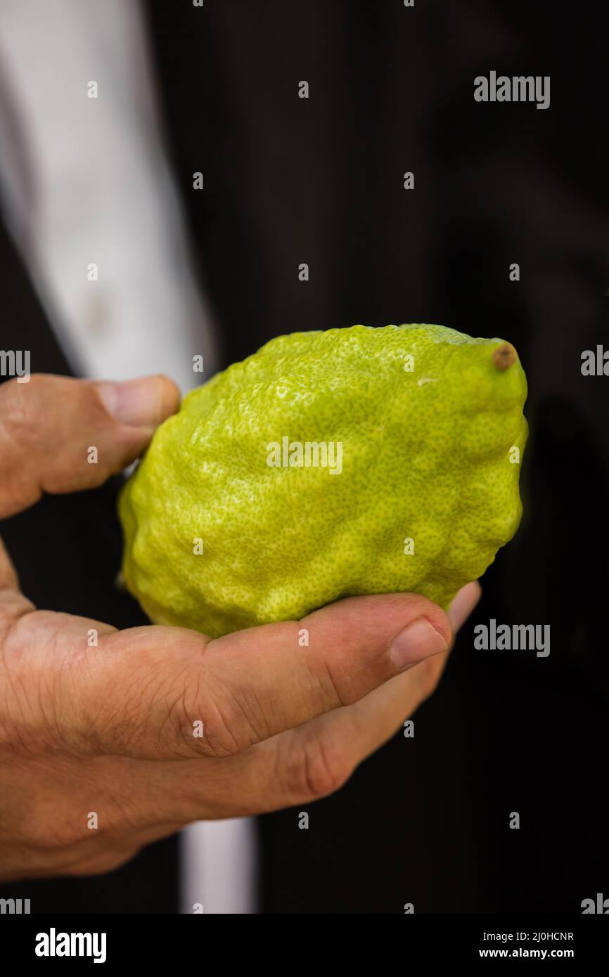 Religious ritual etrog Stock Photo - Alamy