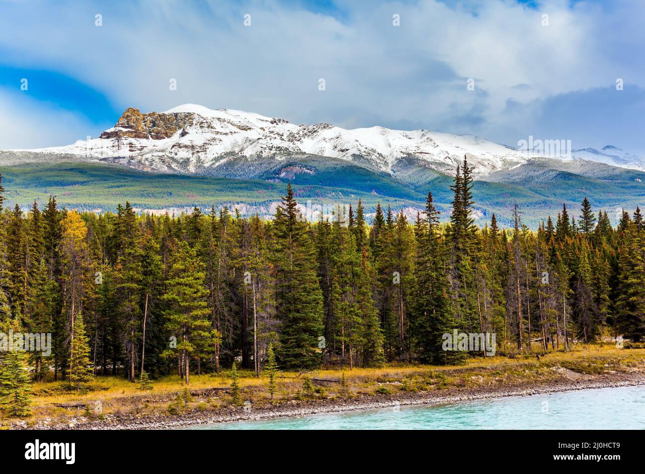 The mountains and coniferous forests Stock Photo - Alamy The mountains and coniferous forests Stock Photo - Alamy