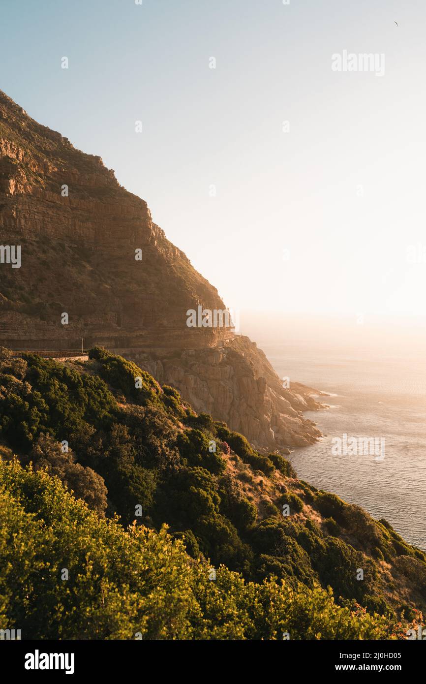 Aerial view of dense forests on a cliff by the sea Stock Photo - Alamy