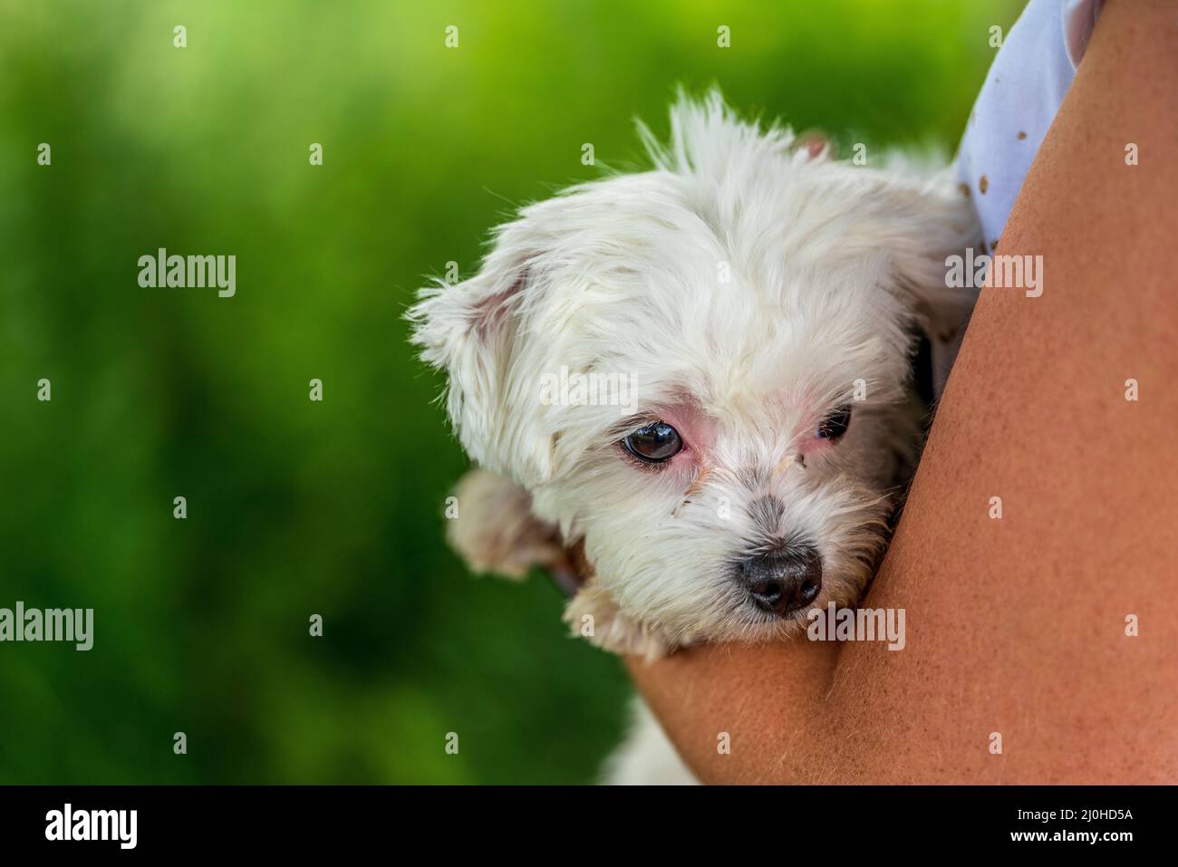The small arm hi-res stock photography and images - Alamy