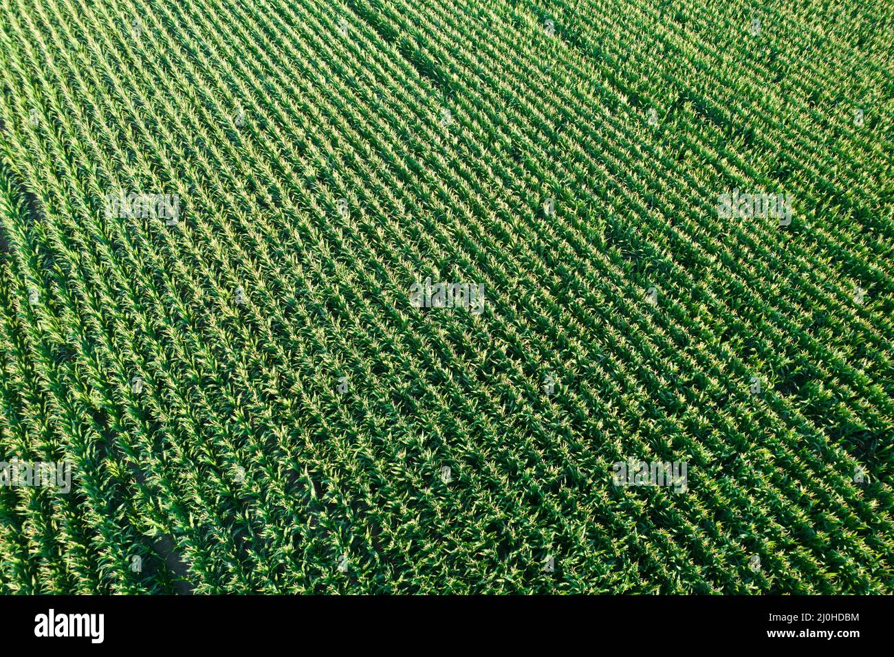 Cyprus agriculture hi-res stock photography and images - Alamy