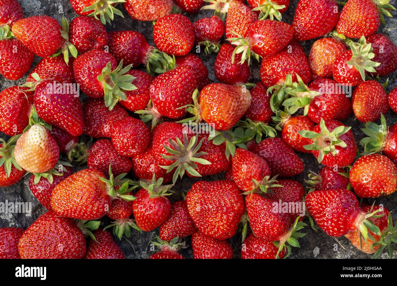 Close up view fresh strawberries hi-res stock photography and images ...