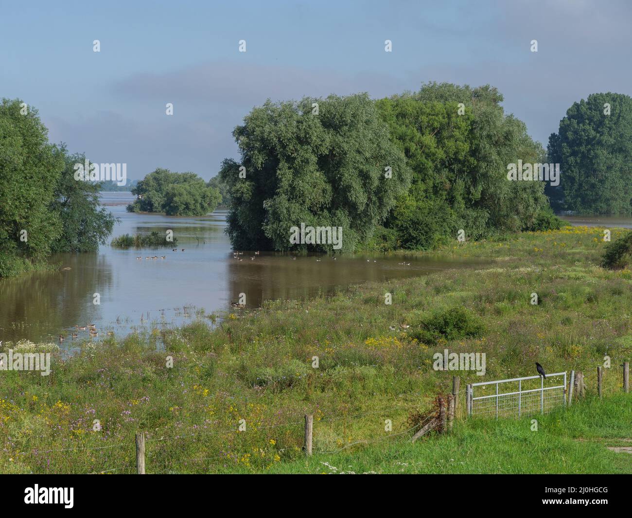The river rhine Stock Photo - Alamy