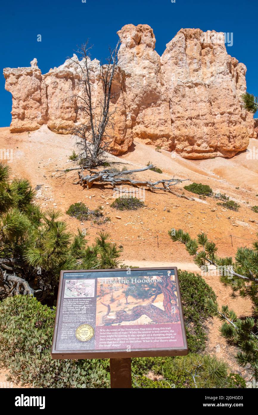 A description board on the natural rock formation in Bryce Canyon NP ...