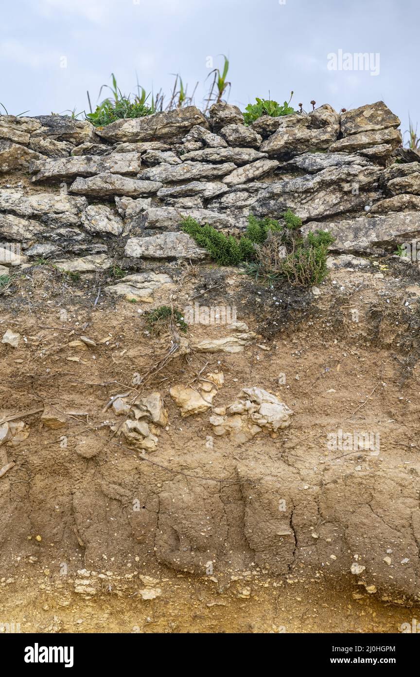 Vertical shot of a stone wall covered with land and roots of plants ...