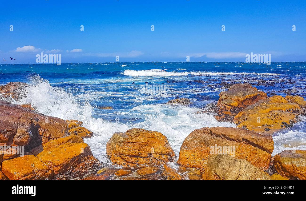 False Bay coast landscape Simons Town Cape Town South Africa Stock ...