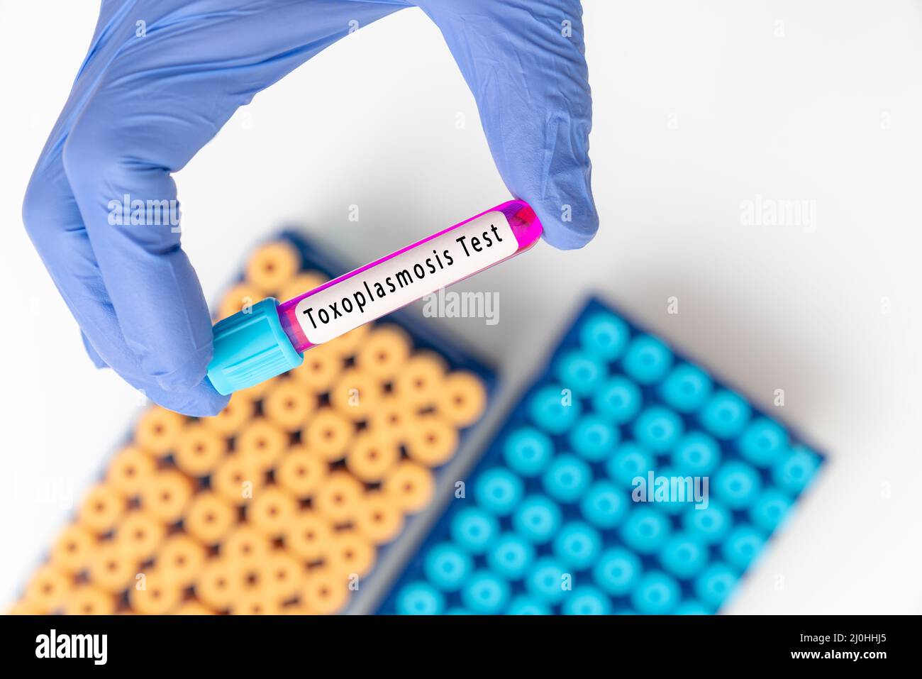 Test tube with blood sample in doctor's hand in laboratory for ...