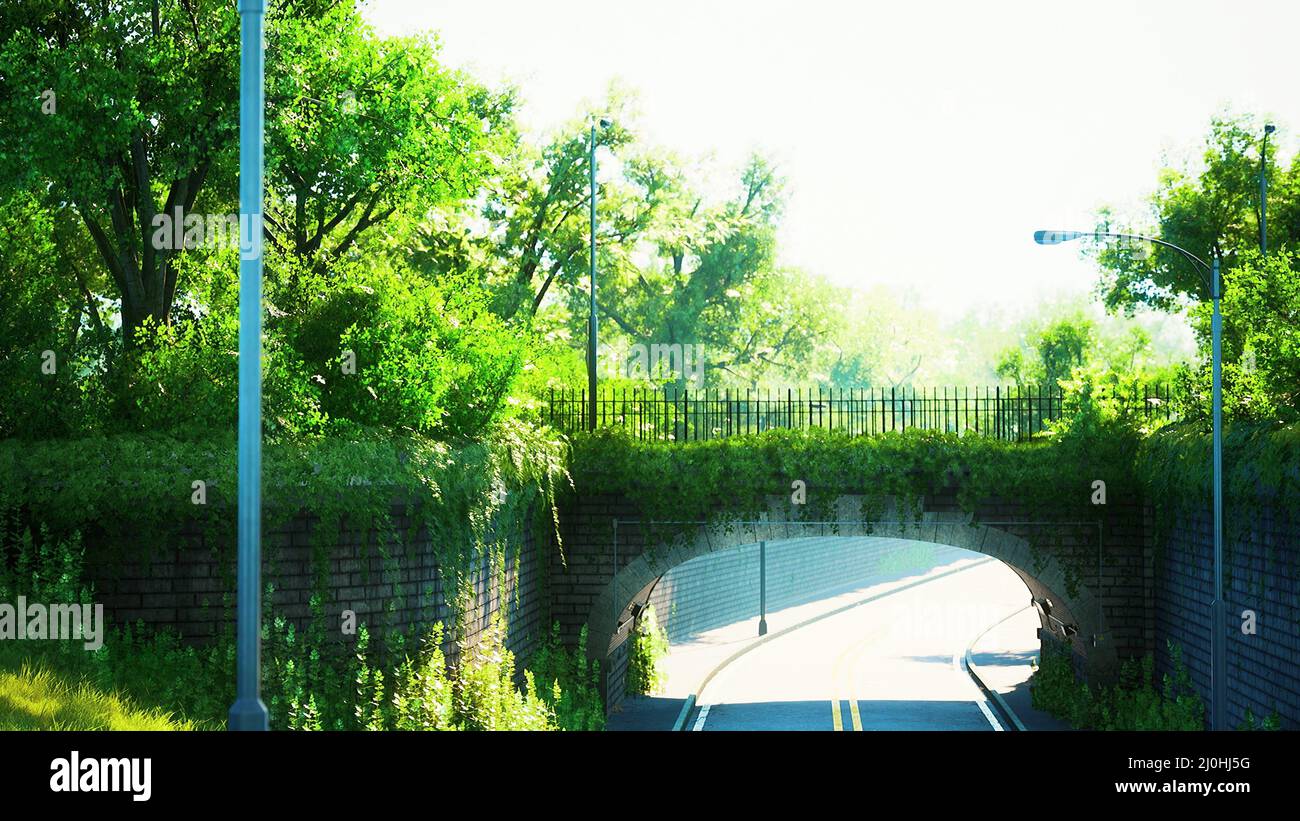 Arch of bush branches hi-res stock photography and images - Alamy