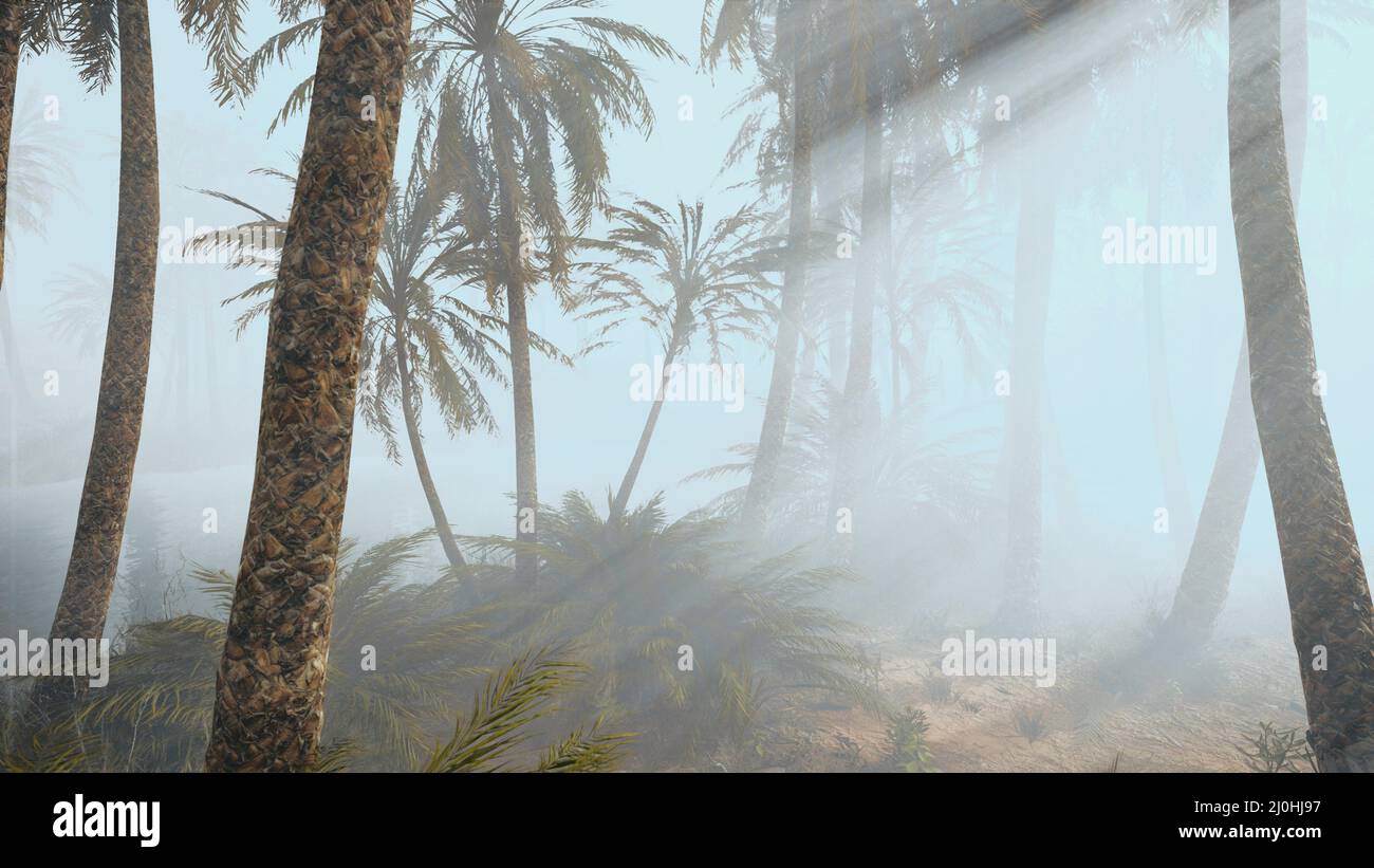 Foggy morning in sri lanka hi-res stock photography and images - Alamy