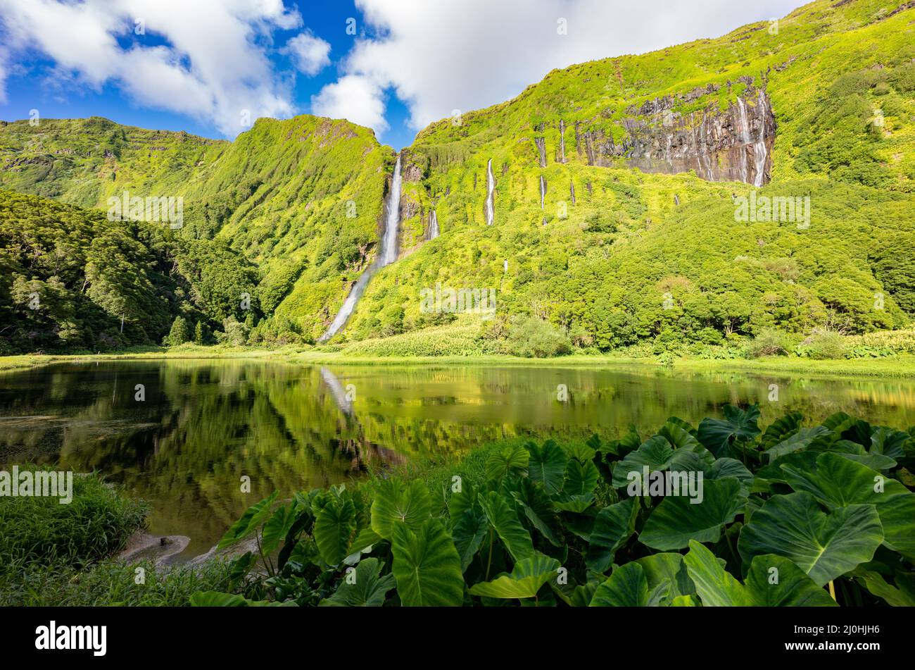 Poco da Ribeira do Ferreiro, Flores, Azores Islands. Waterfalls and ...