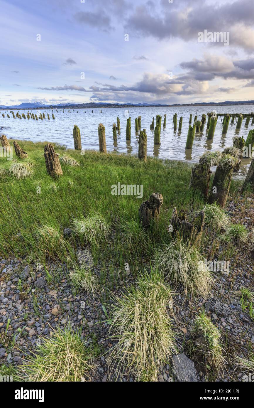 Pilings in the water hi-res stock photography and images - Alamy