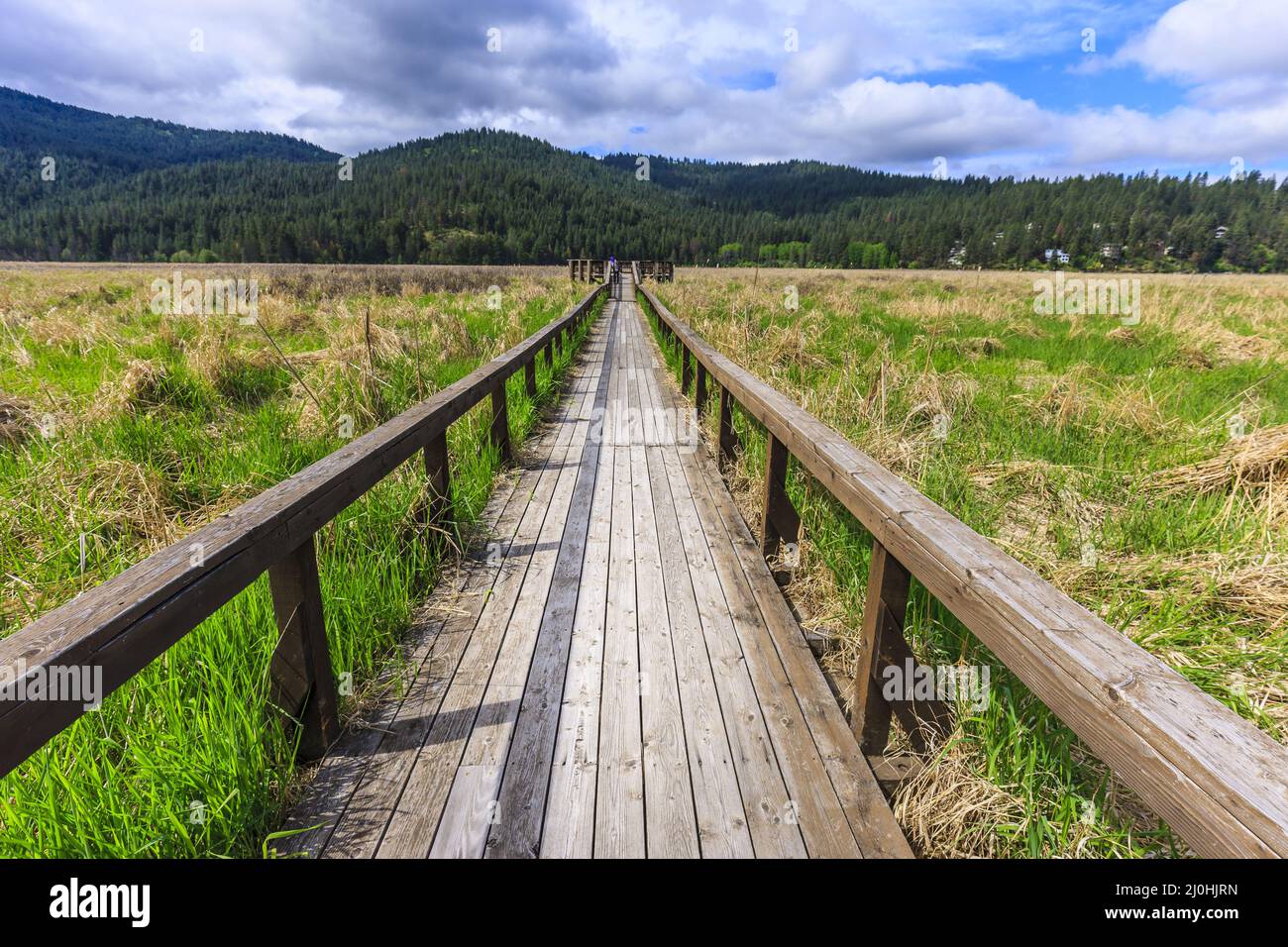 Grassy path park hi-res stock photography and images - Alamy