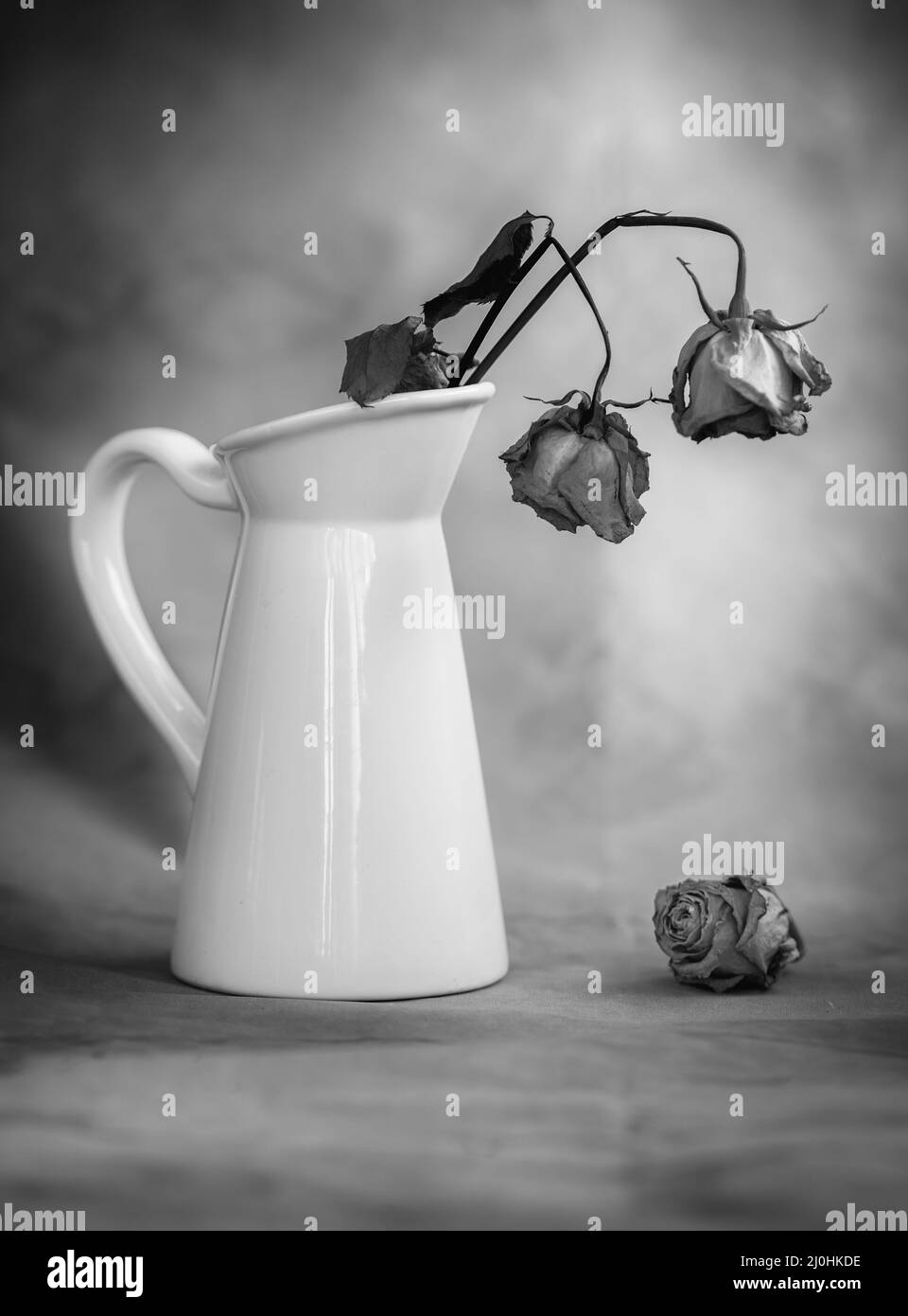 Dying Flower Black And White