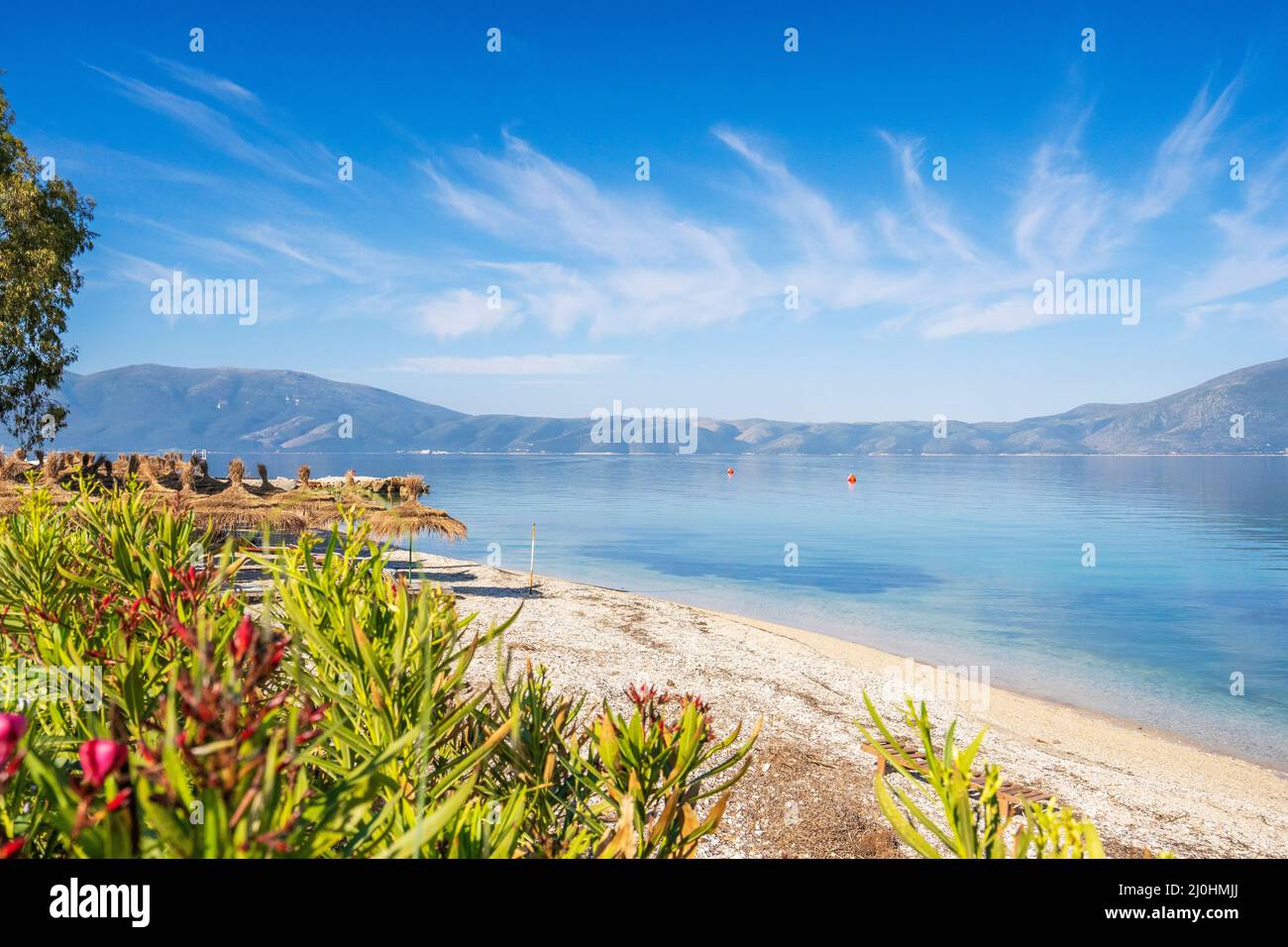 Sea pink color hi-res stock photography and images - Alamy