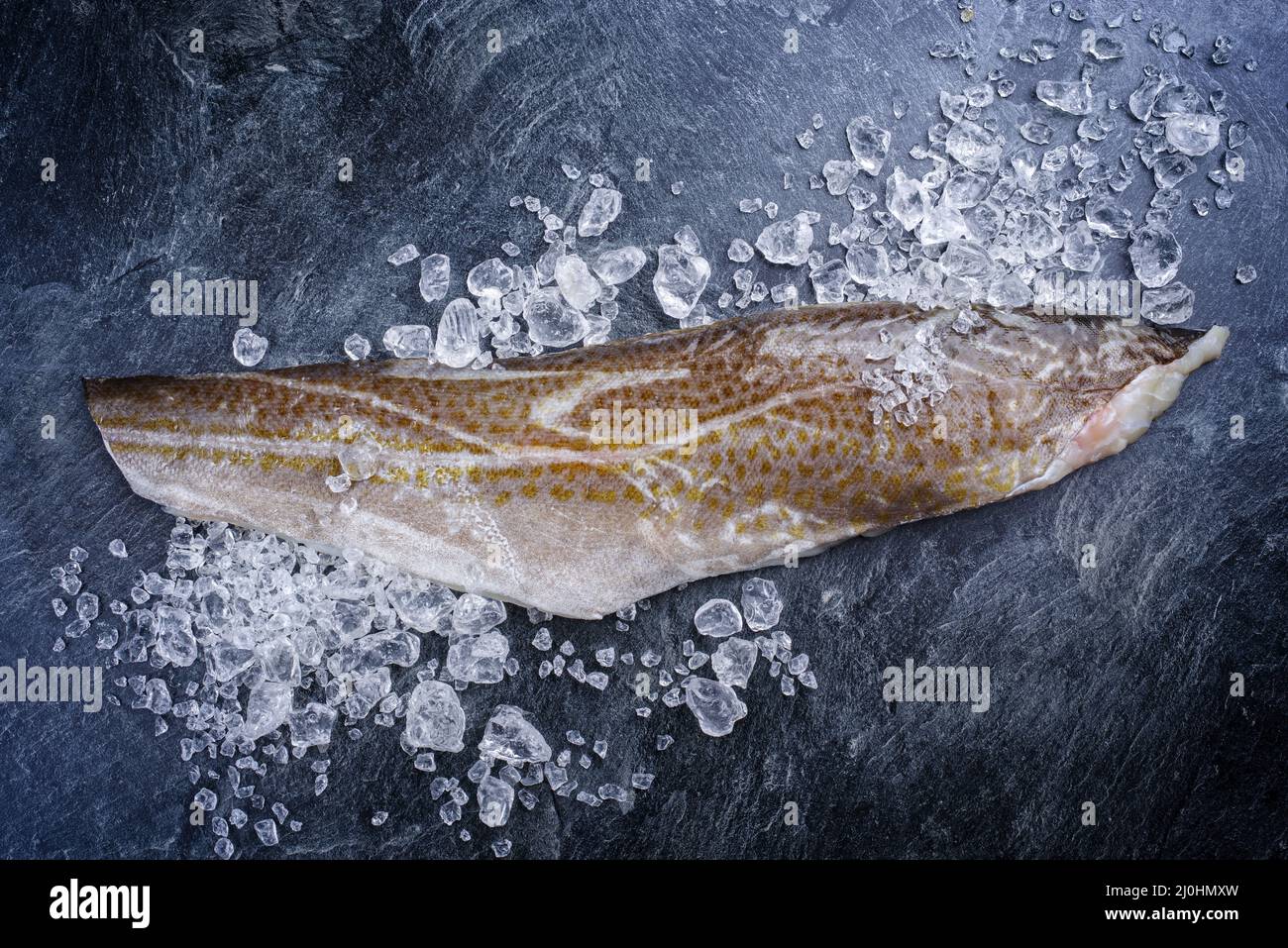 Barents sea cod and haddock hi-res stock photography and images - Alamy