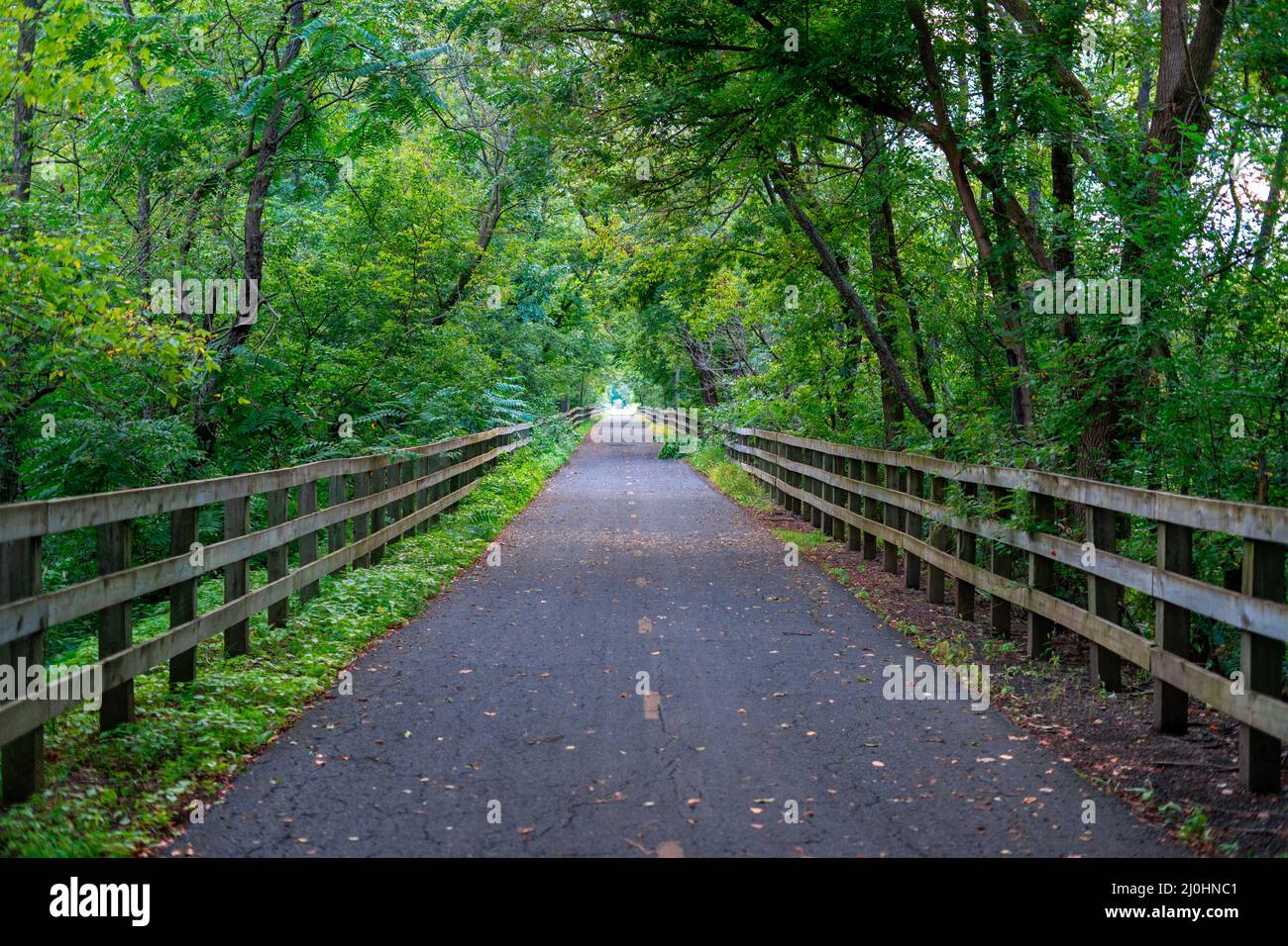 Beautiful pathway with metal fences along it in the forest Stock Photo ...