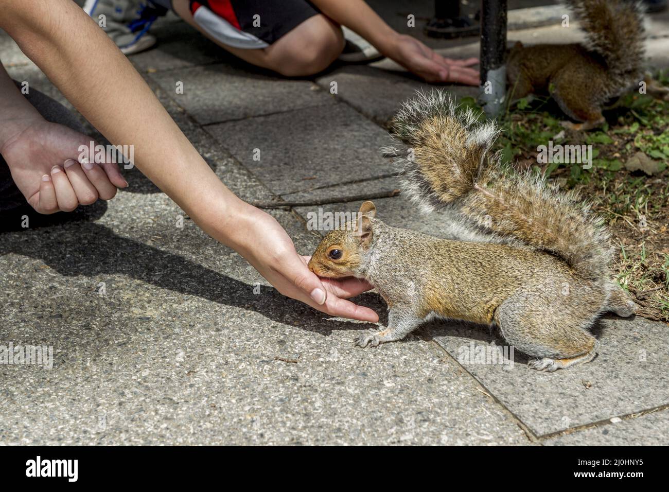 Hand eats hi-res stock photography and images - Alamy