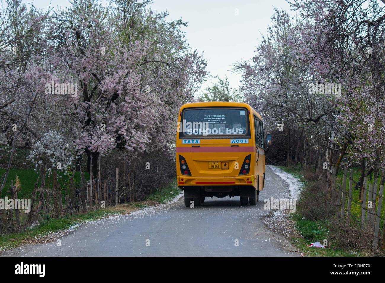 Srinagar, Jammu And Kashm, India. 19th Mar, 2022. A school bus seen on ...