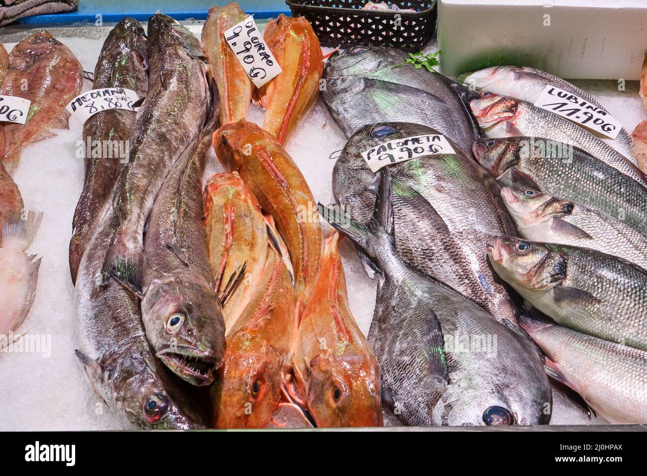 Palometa fish hi-res stock photography and images - Alamy
