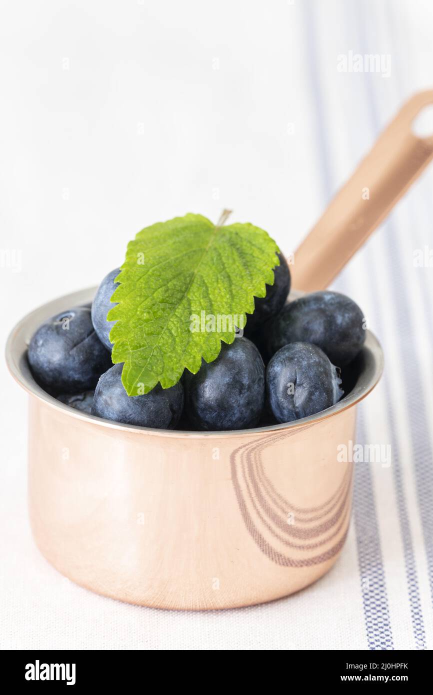 Blueberry in pot hi-res stock photography and images - Alamy